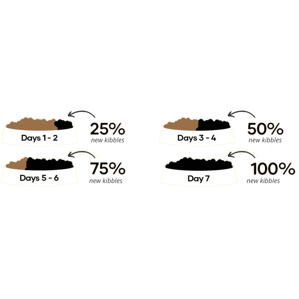 Feeding Schedule & Food Transition – Domoz House